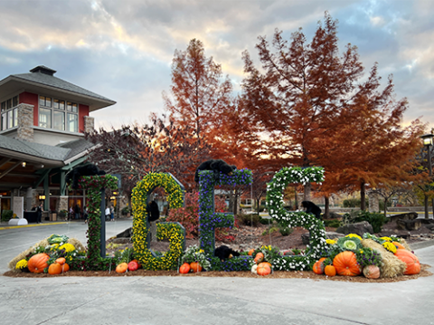 Premier Wholesale Souvenir & Resort Gift Trade Show | IGES